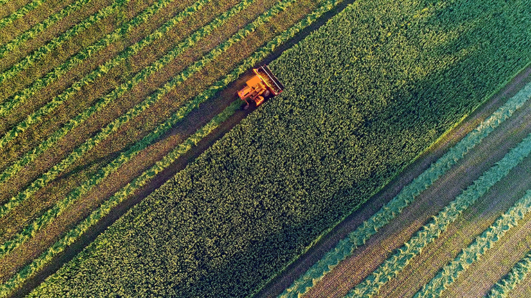 Zinnwald SOP Fertiliser | Germany's Sulfate of Potash Supply